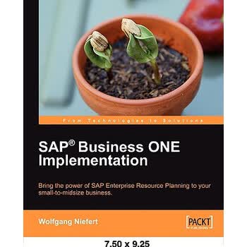 【】SAP Business One Implementation
