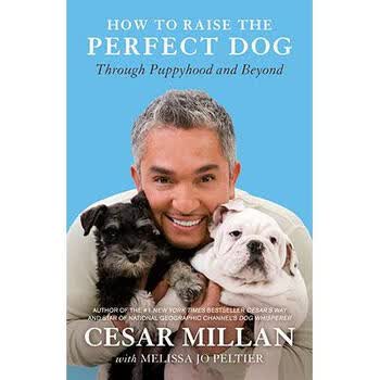 How to Raise the Perfect Dog: Through Puppyh...