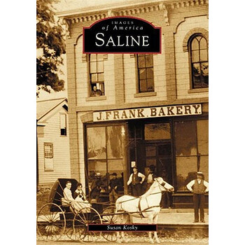 【】Saline