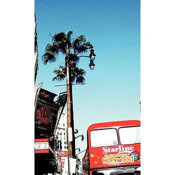 【】Hollywood Blvd Journal