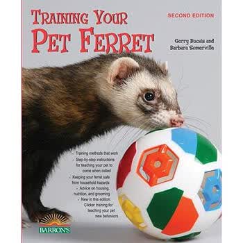 Training Your Pet Ferret