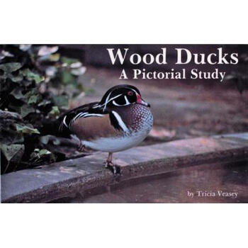 Wood Ducks: A Pictorial Study: A Pictorial S...