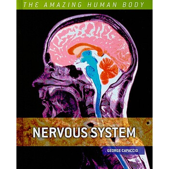 【】Nervous System