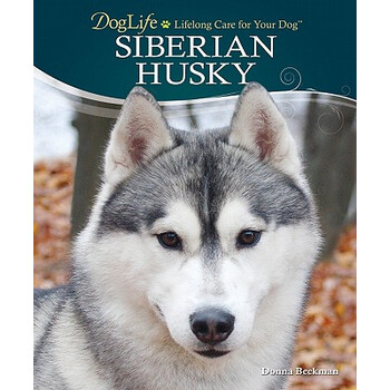 【】Siberian Husky