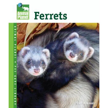 【】Ferrets