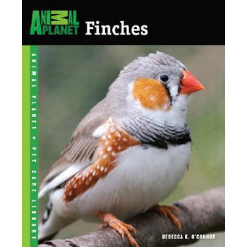 【】Finches