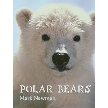 【】Polar Bears