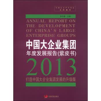 2013中国大企业集团年度发展报告（紫皮书）