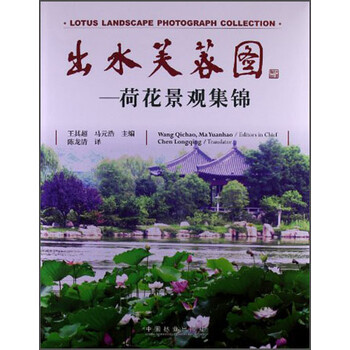 出水芙蓉图:荷花景观集锦