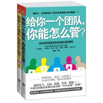 给你一个团队，你能怎么管（套装全2册）