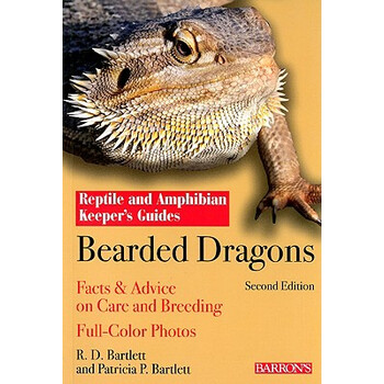 【】Bearded Dragons