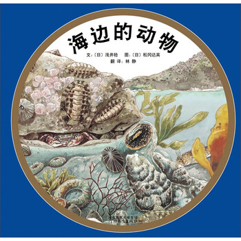 海边的动物  3-6岁（启发出品）