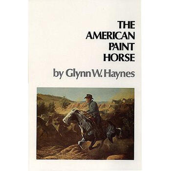 American Paint Horse