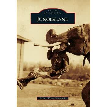 【】Jungleland