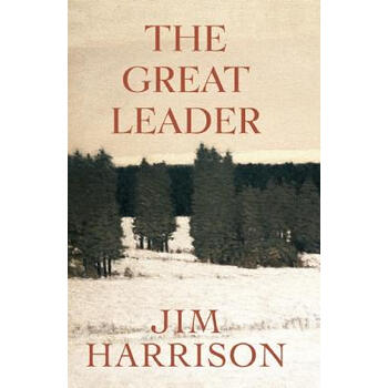 【】The Great Leader: A Faux Mystery