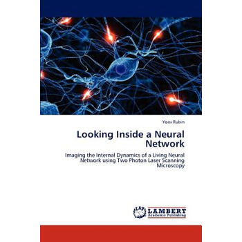 【】Looking Inside a Neural Network