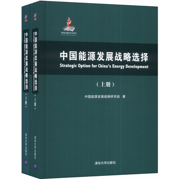 中国能源发展战略选择(上下册）9787302347682