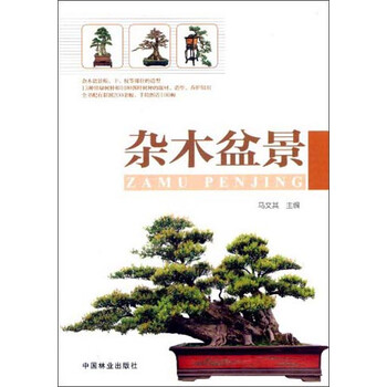 杂木盆景