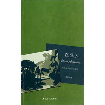 郭平域外短篇小说集：在异乡