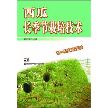 西瓜长季节栽培技术
