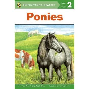 【】Ponies