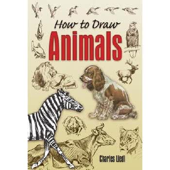 【】How to Draw Animals