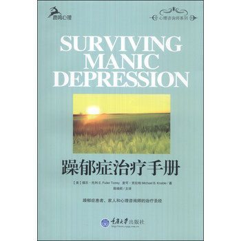 心理咨询师系列：躁郁症治疗手册
