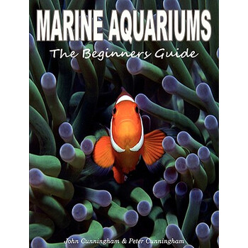 【】Marine Aquariums - The Beginners