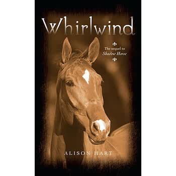 【】Whirlwind