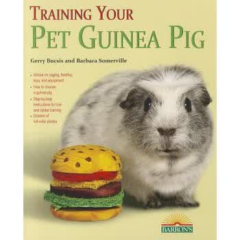 Training Your Pet Guinea Pig