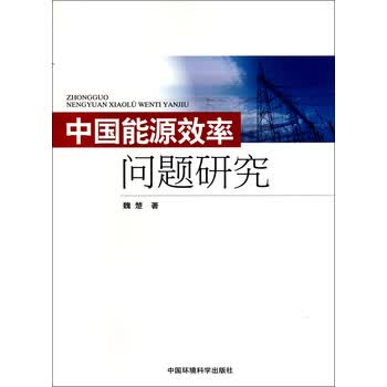 中国能源效率问题研究