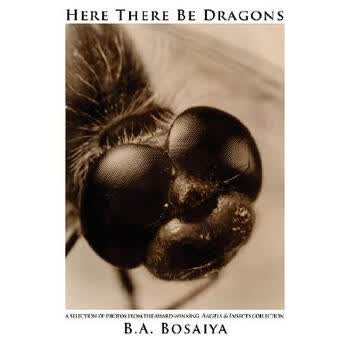 【】Here There Be Dragons