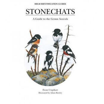 Stonechats