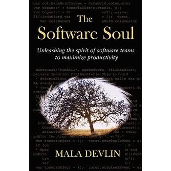 【】The Software Soul