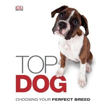 【】Top Dog