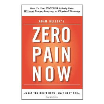 【】Adam Heller's Zero Pain Now