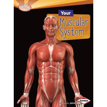 【】Your Muscular System