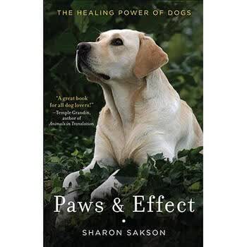 Paws & Effect: The Healing Power of Dogs