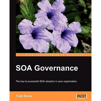 【】Soa Governance