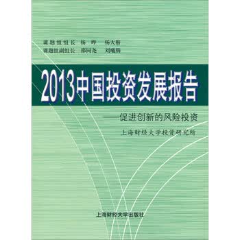 2013中国投资发展报告：促进创新的风险投资
