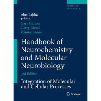 【】Brain Energetics. Integration of