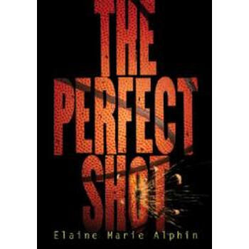 【】The Perfect Shot