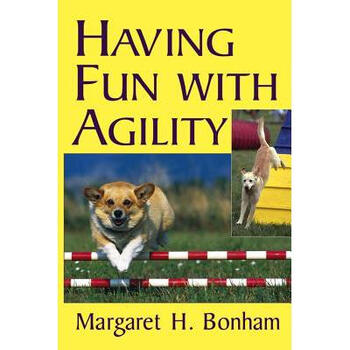 Having Fun with Agility without Competition