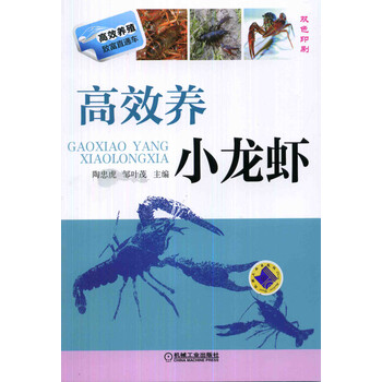 高效养小龙虾