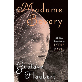 【】Madame Bovary: Provincial Ways