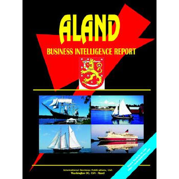 【】Aland Business Intelligenc