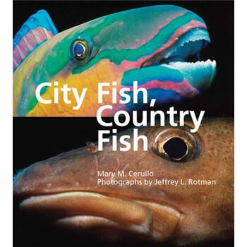 【】City Fish, Country Fish