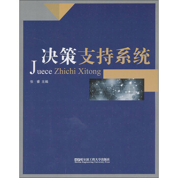 正版 决策支持系统 9787566104755