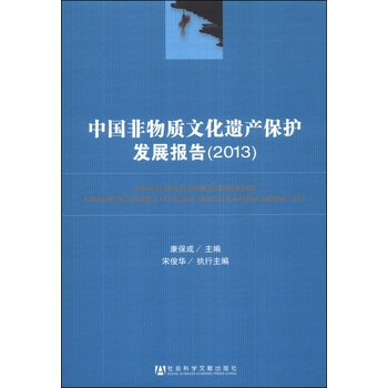 中国非物质文化遗产保护发展报告（2013）