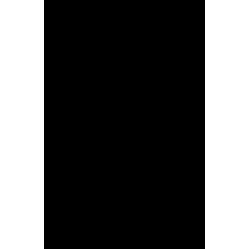 【】Elegies II